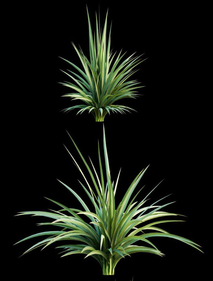 Yucca Plant Exterior 3D Model - TurboSquid 1281474