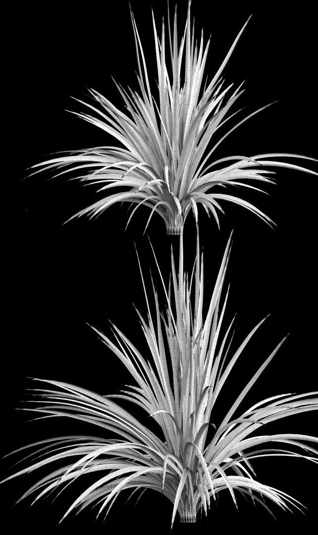 Yucca Plant Exterior 3D Model - TurboSquid 1281474