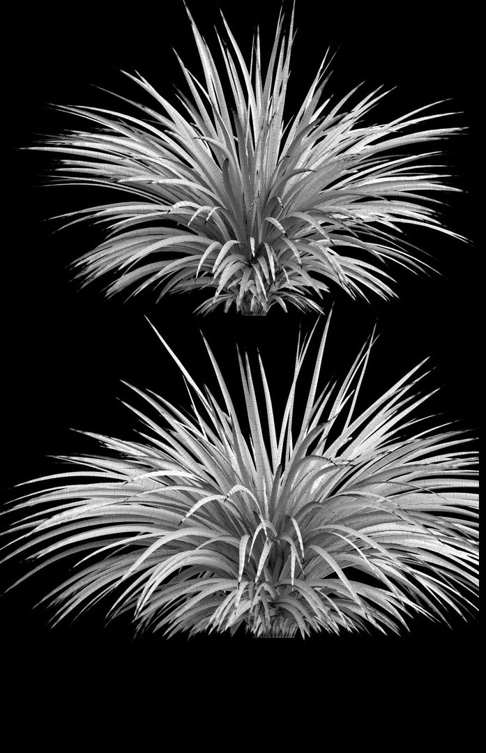 Yucca Plant Exterior 3D Model - TurboSquid 1281474