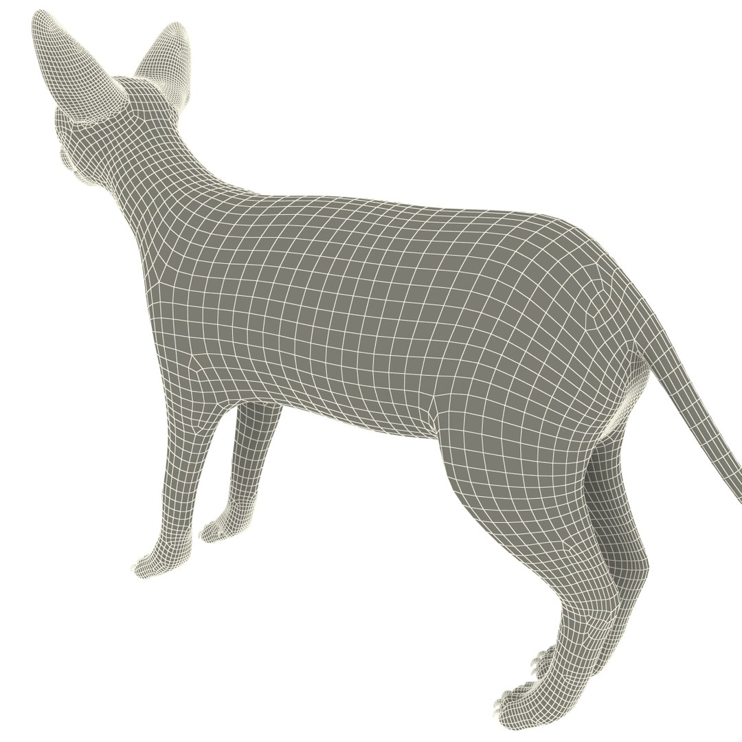 3ds Cats Set Modelled
