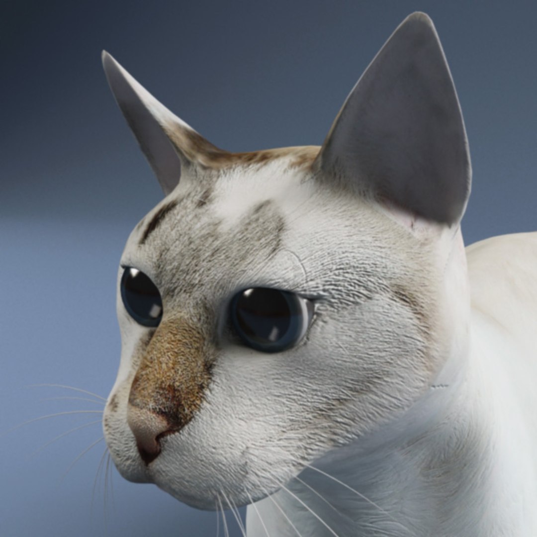 3ds Cats Set Modelled