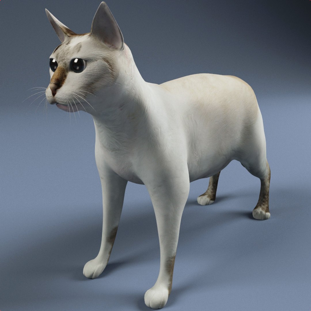 3ds Cats Set Modelled