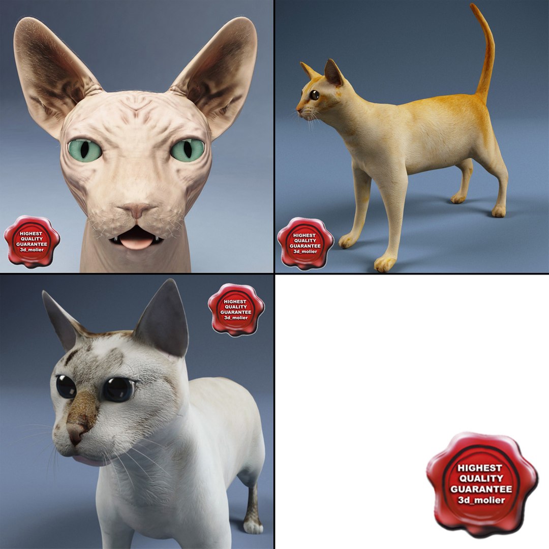 3ds cats set modelled