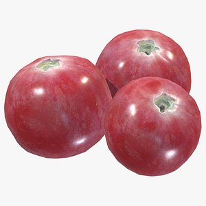 3D Cranberry Models - Browse & Download Formats - TurboSquid