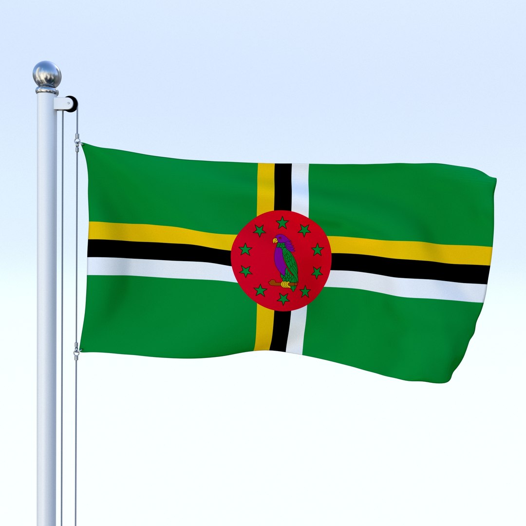 3d pack flags north american