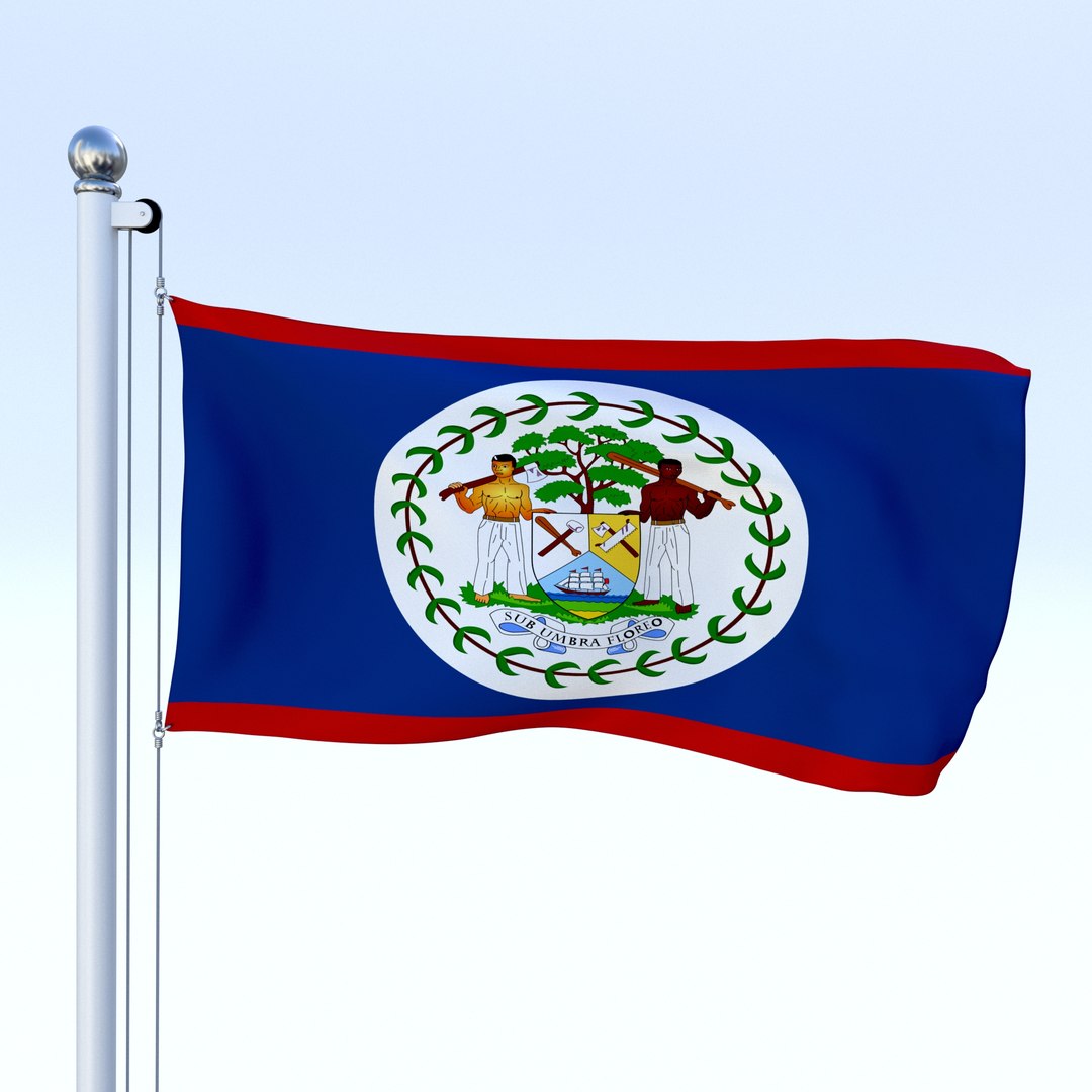 3d pack flags north american