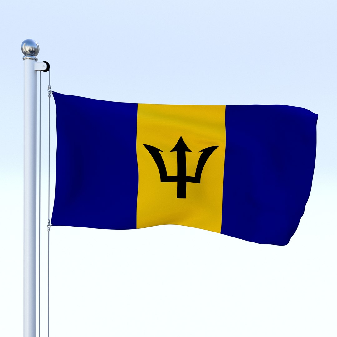 3d pack flags north american