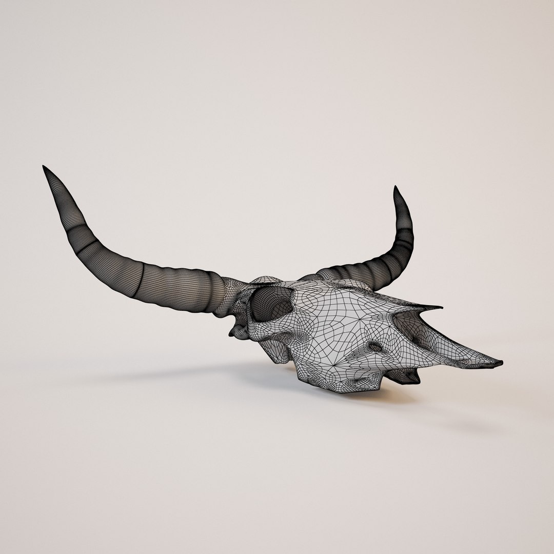 3d model cow skull