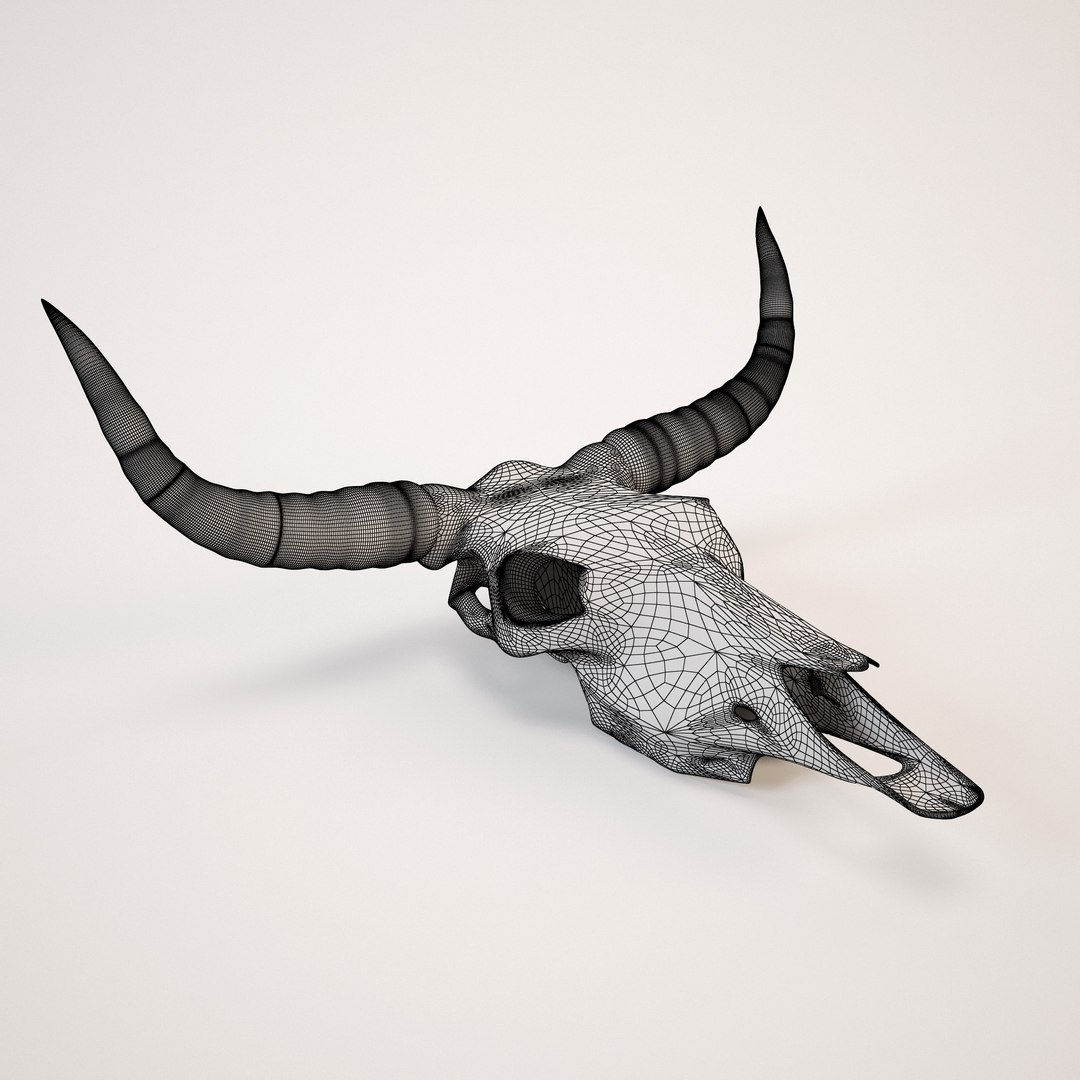 3d model cow skull