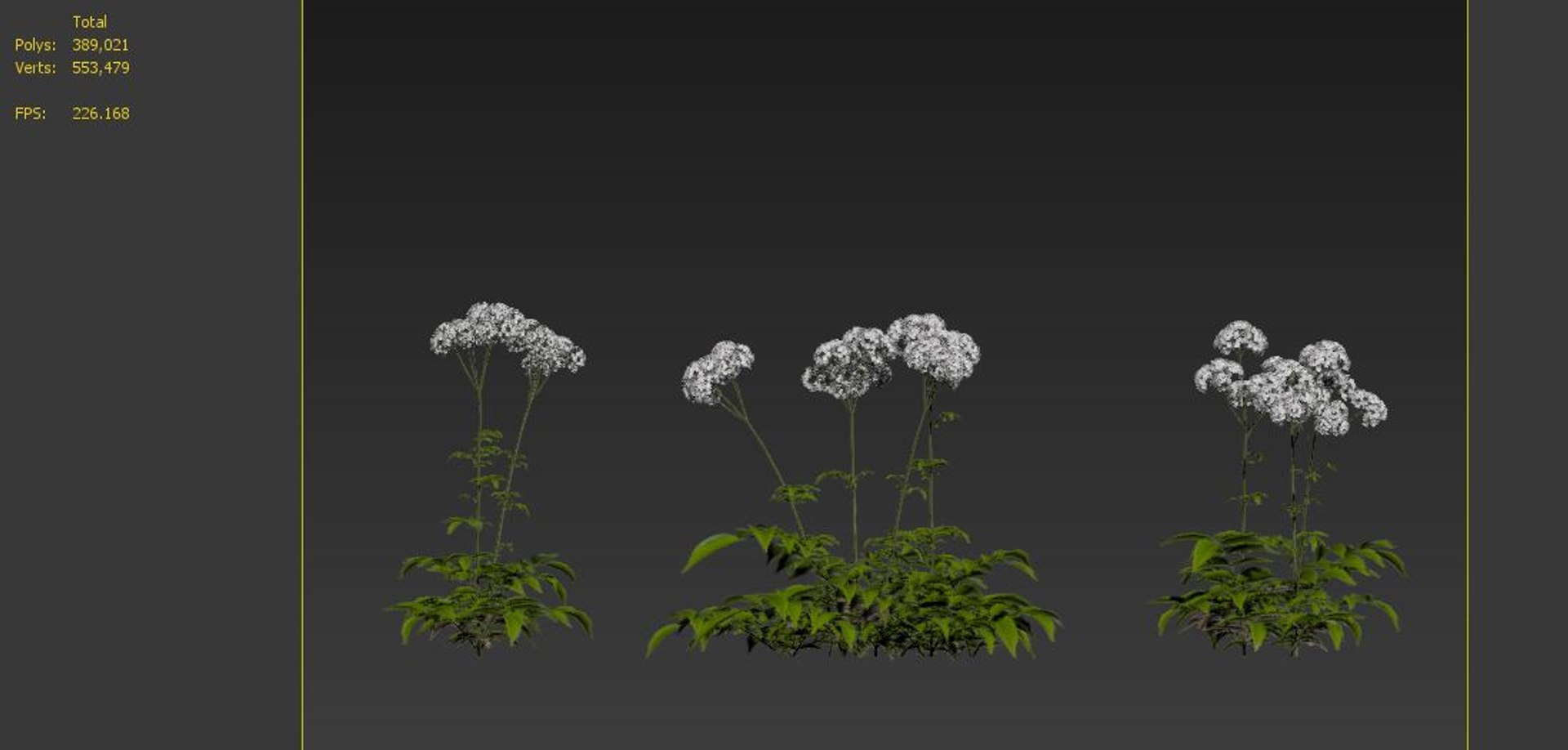 3D Valeriana Officinalis Model - TurboSquid 1943970