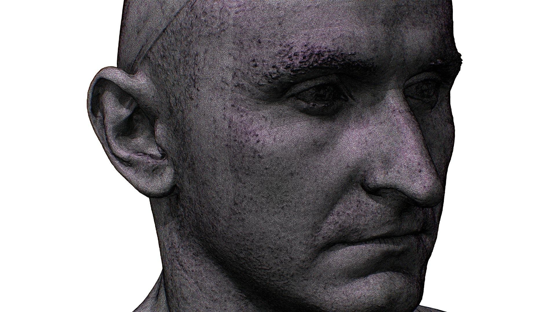 Raw Head Scan Augustine Bauer model - TurboSquid 1815393