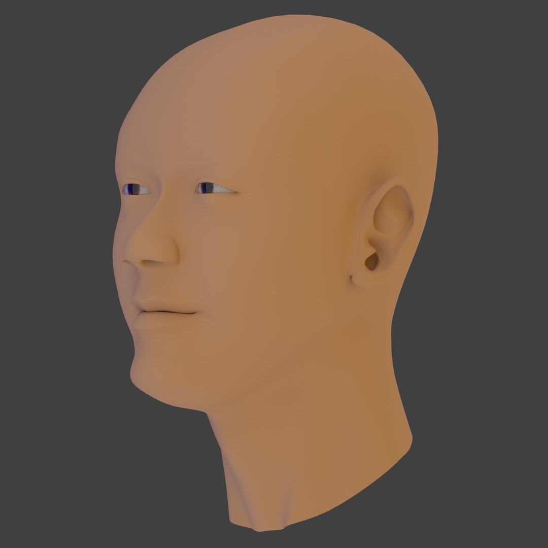 Human Man Head 3D Model - TurboSquid 1191776
