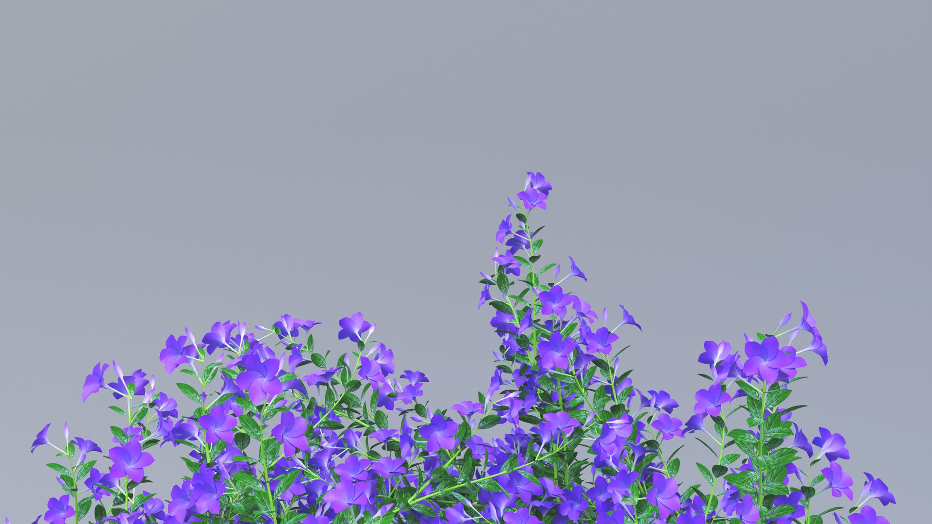 3D Model 3d Gate With Flower 03 - TurboSquid 2082028