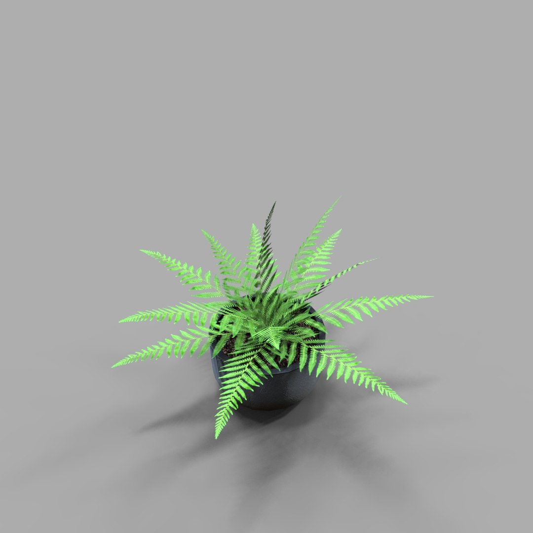 Plant 4 3D Model - TurboSquid 1246873
