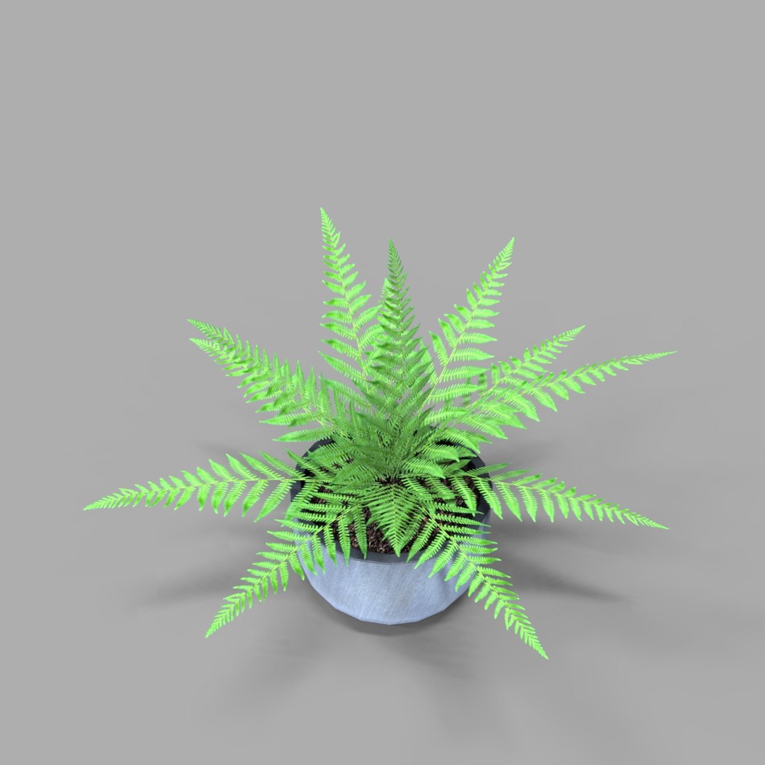 Plant 4 3D Model - TurboSquid 1246873