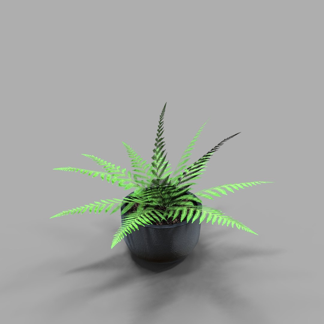 Plant 4 3D Model - TurboSquid 1246873