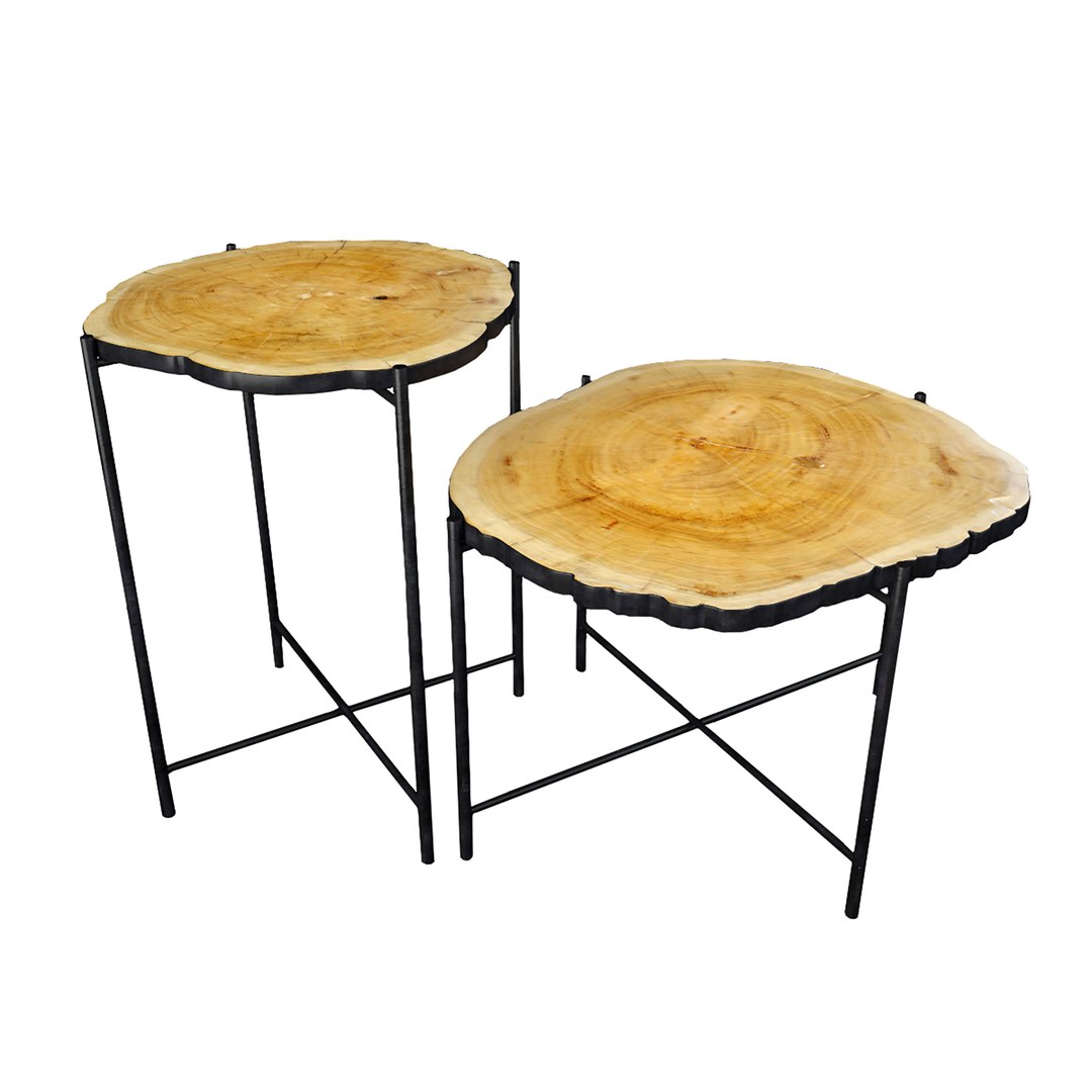 3D Teak Stump Side Tables 1 - TurboSquid 2120670