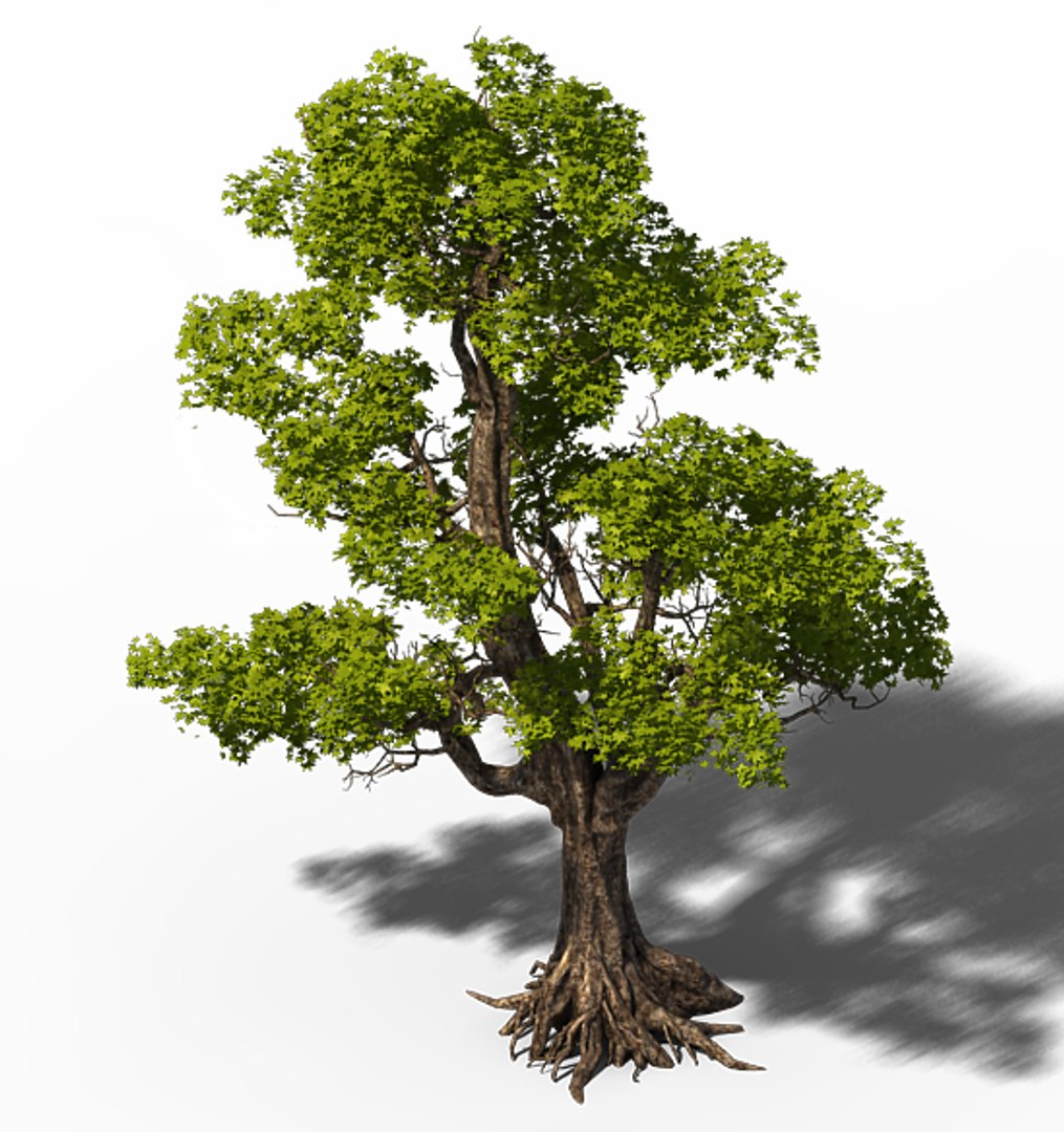 3D big tree - TurboSquid 1223341
