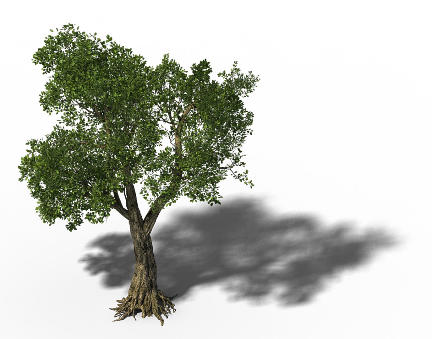 3D big tree - TurboSquid 1223341
