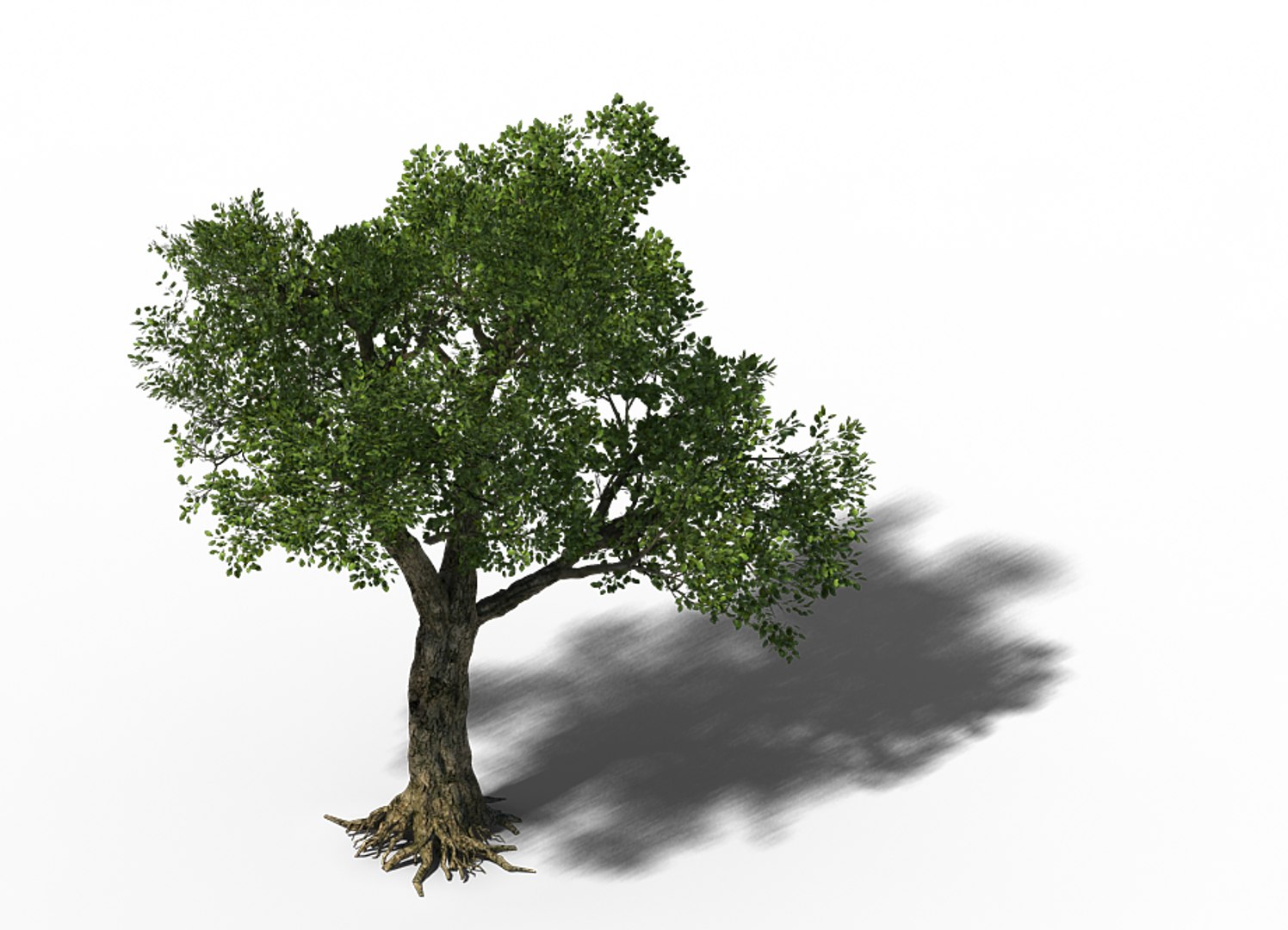 3D big tree - TurboSquid 1223341