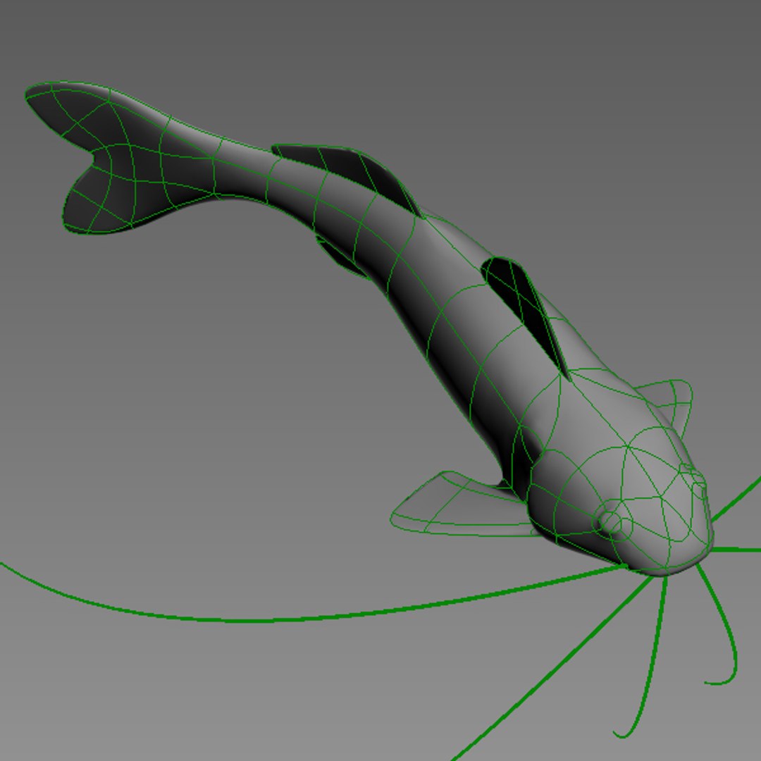3d Catfish Fish
