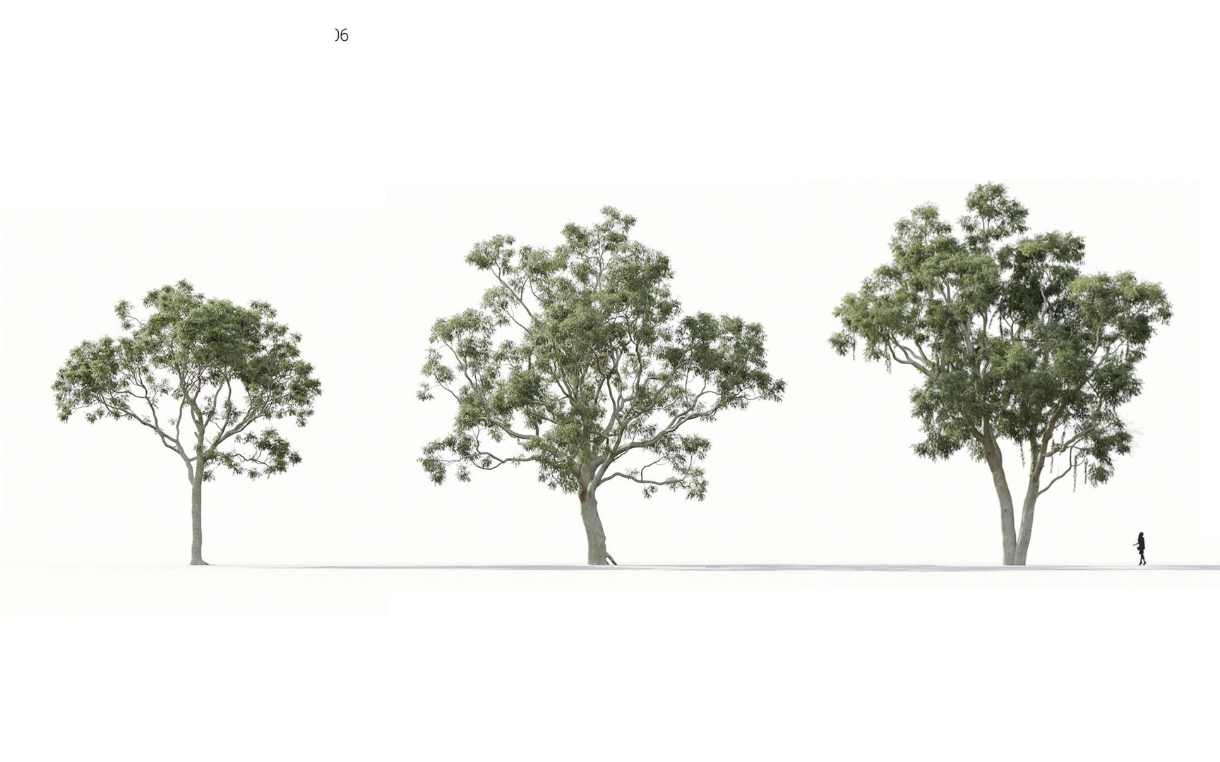3D Trees Includes Growfx Files Model - TurboSquid 1650793