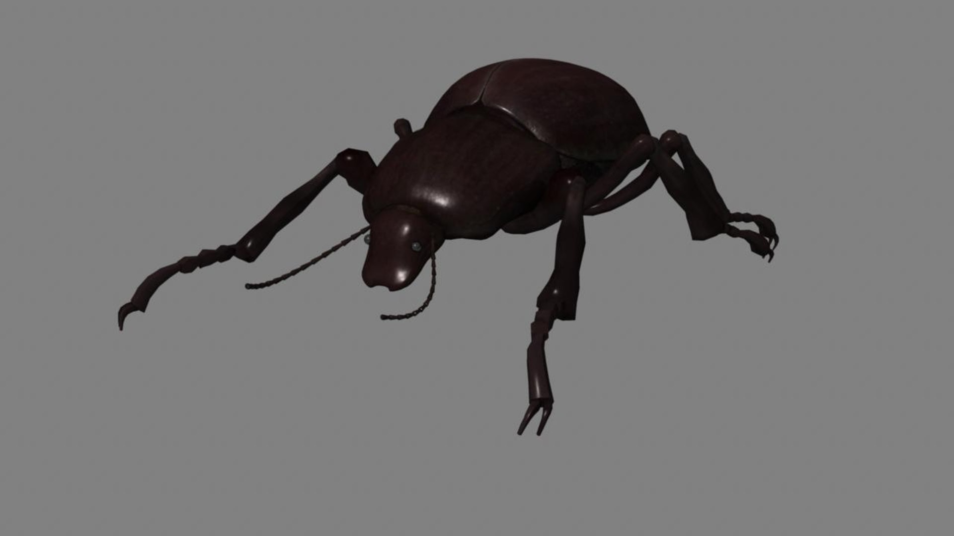 3D Beetle Bug Insect - TurboSquid 1335408