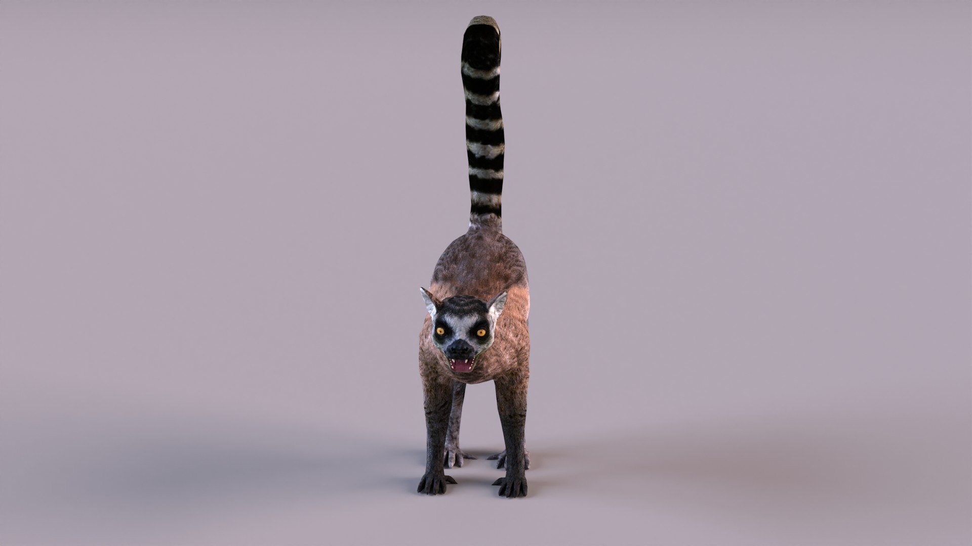 Lemur Monkey 3D Model - TurboSquid 1510901