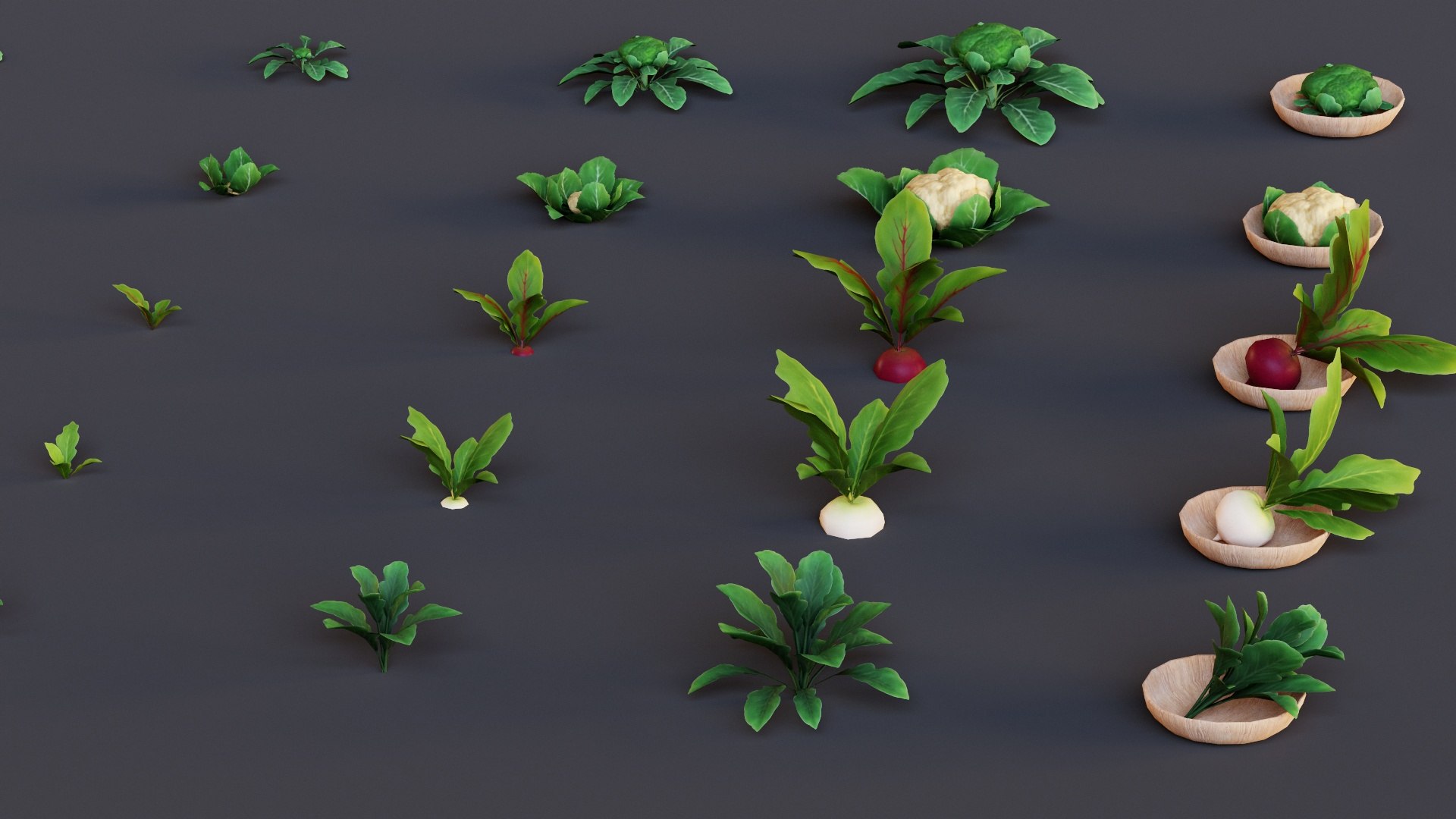 3D Model Vegetables Farm G92 - TurboSquid 1908763