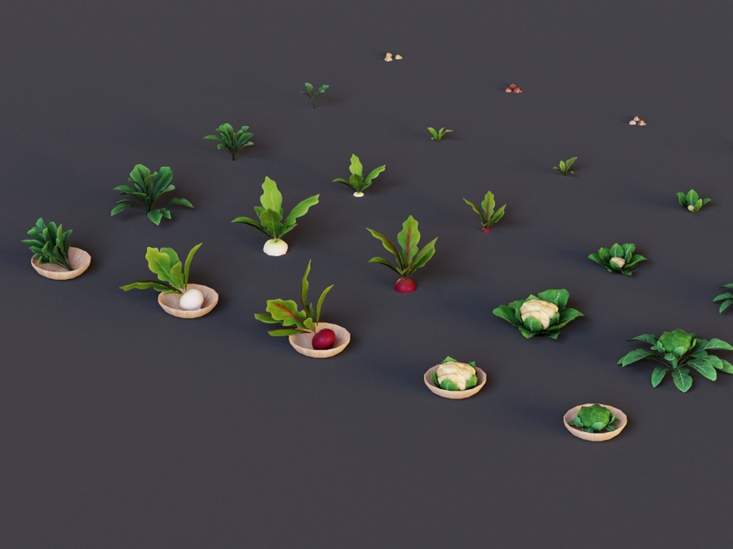 3D Model Vegetables Farm G92 - TurboSquid 1908763