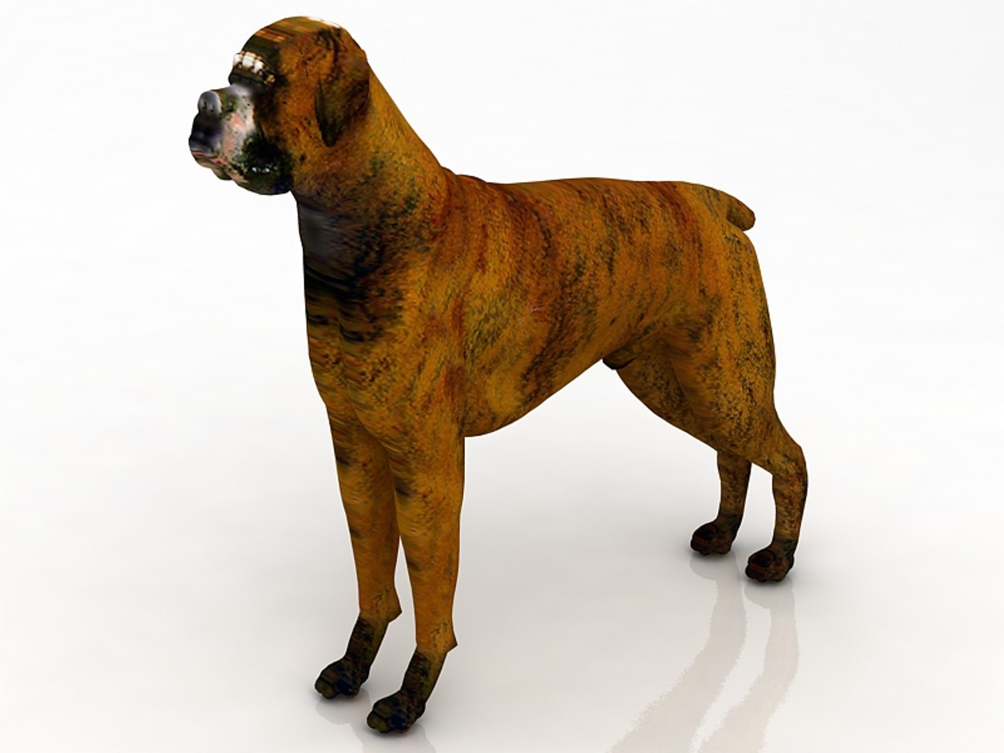 3D Boxer Dog model - TurboSquid 1773220