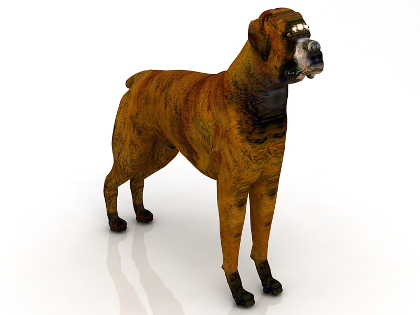 3D Boxer Dog model - TurboSquid 1773220