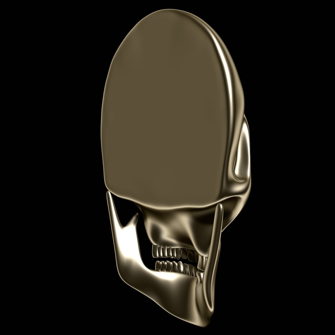Relief skull 3D model - TurboSquid 1160156