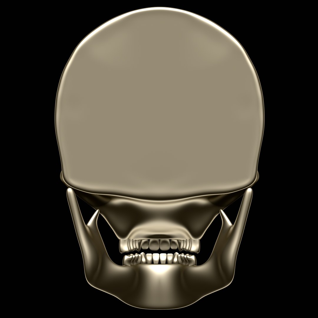Relief skull 3D model - TurboSquid 1160156