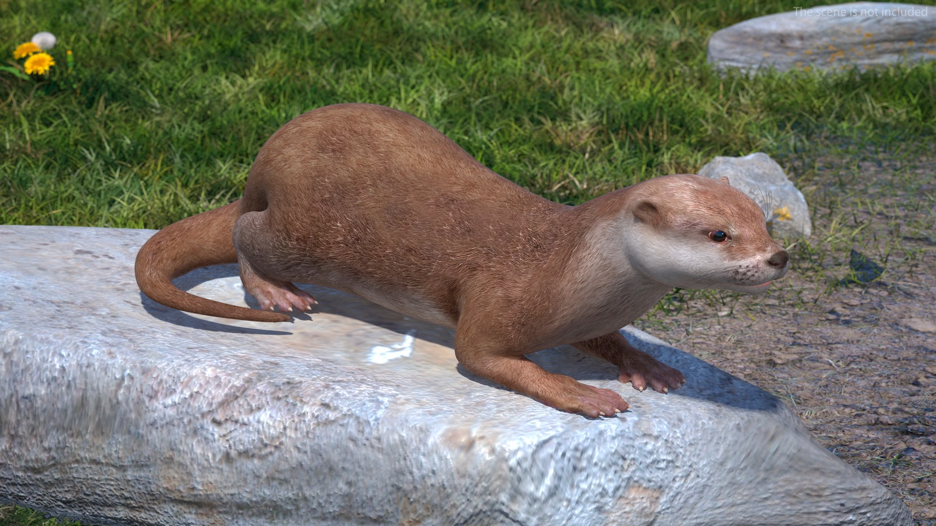 3D River Otter Lying Pose - TurboSquid 2134124