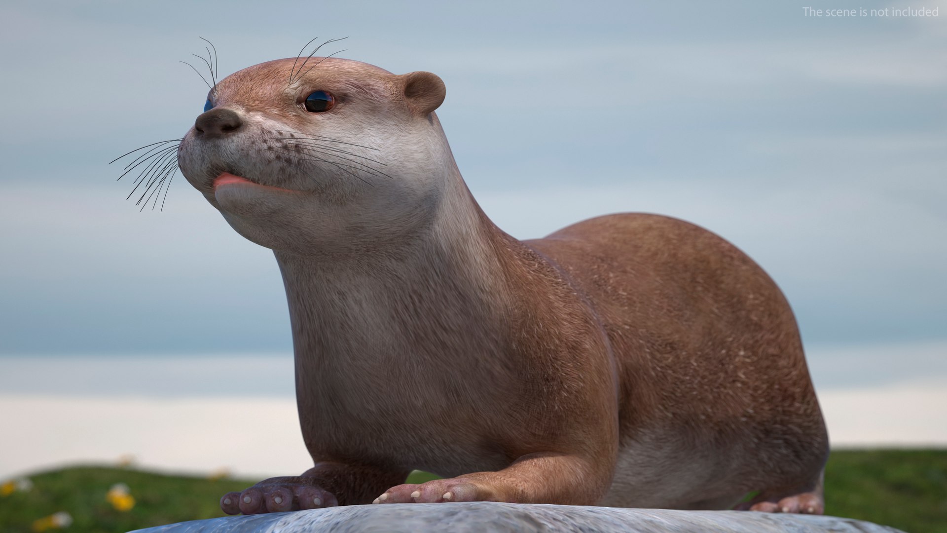 3D River Otter Lying Pose - TurboSquid 2134124