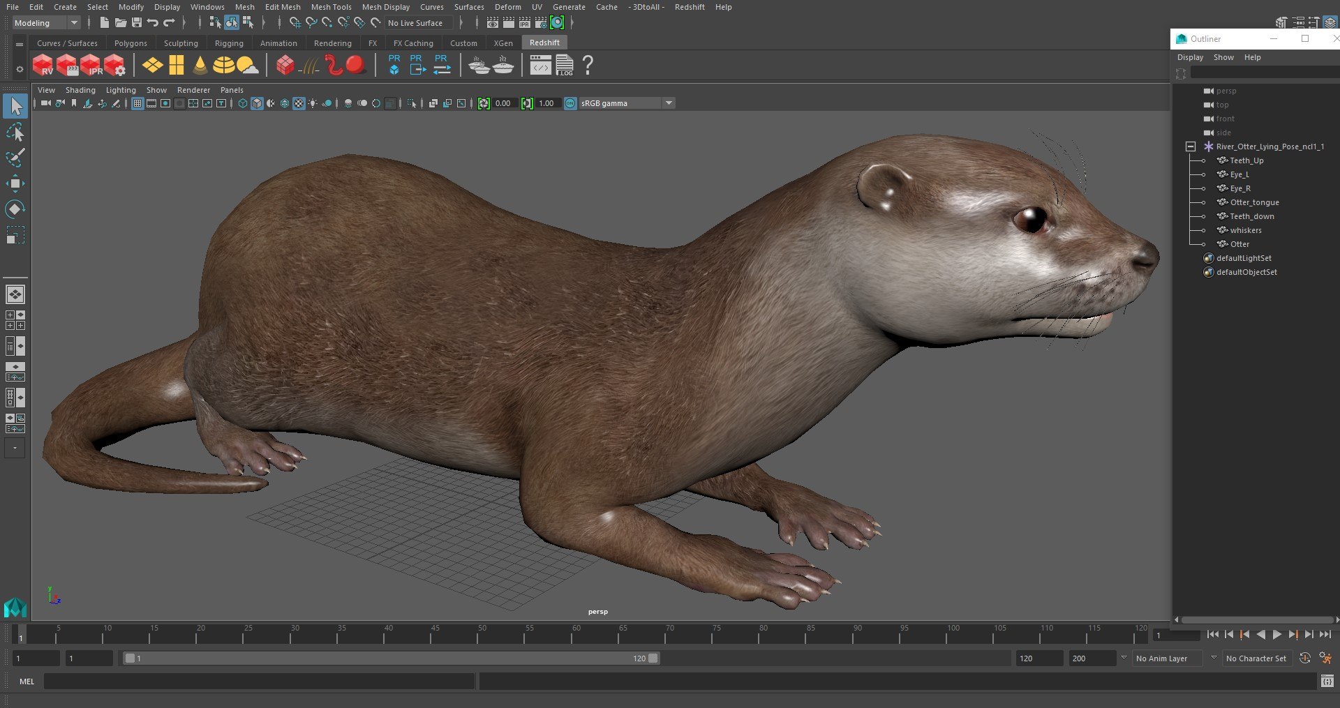3D River Otter Lying Pose - TurboSquid 2134124
