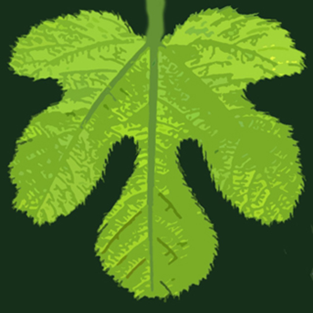 3d Fig Leaf