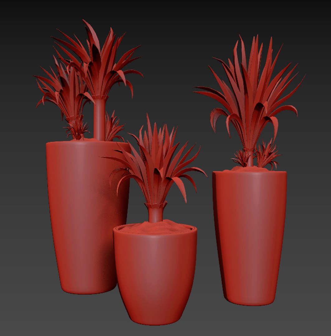 Set yucca 3D model - TurboSquid 1415088