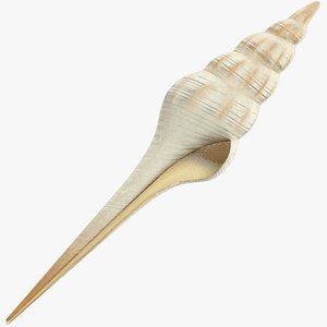 seashell nautilus 3d model