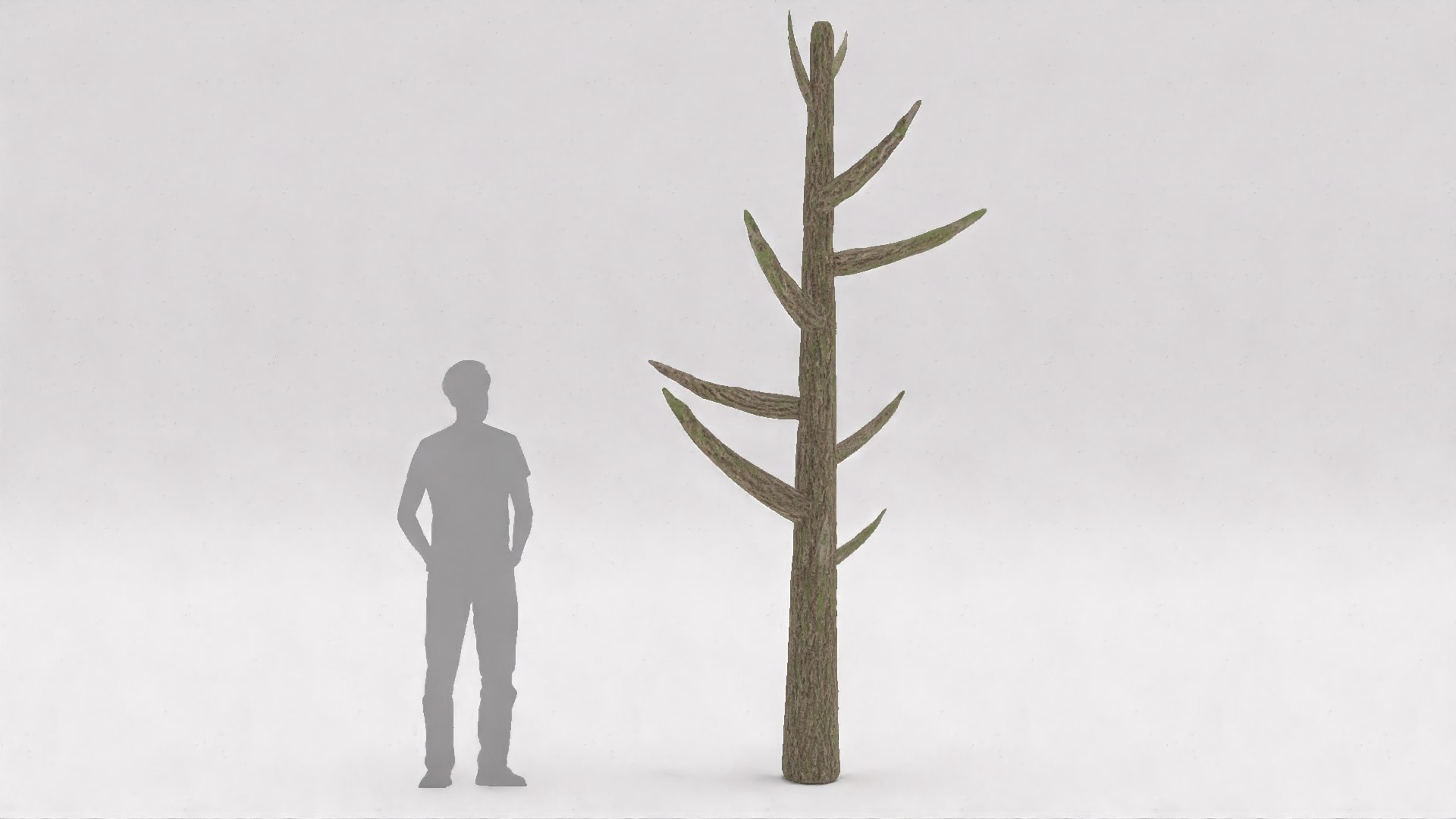 13 5 real 3D model - TurboSquid 1622700