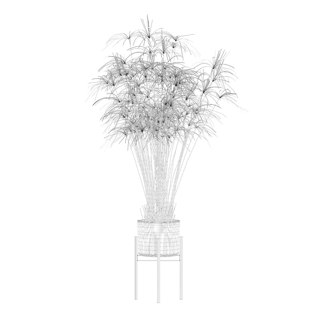 Cyperus Papyrus In Modern Flower Pot Model - TurboSquid 2184689