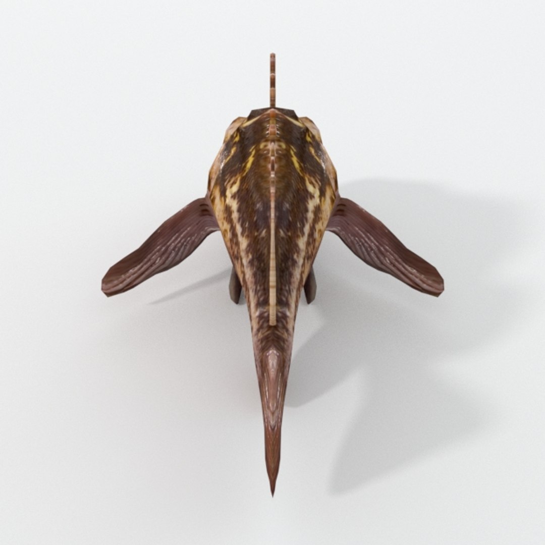 Fish 3D Model - TurboSquid 1400208