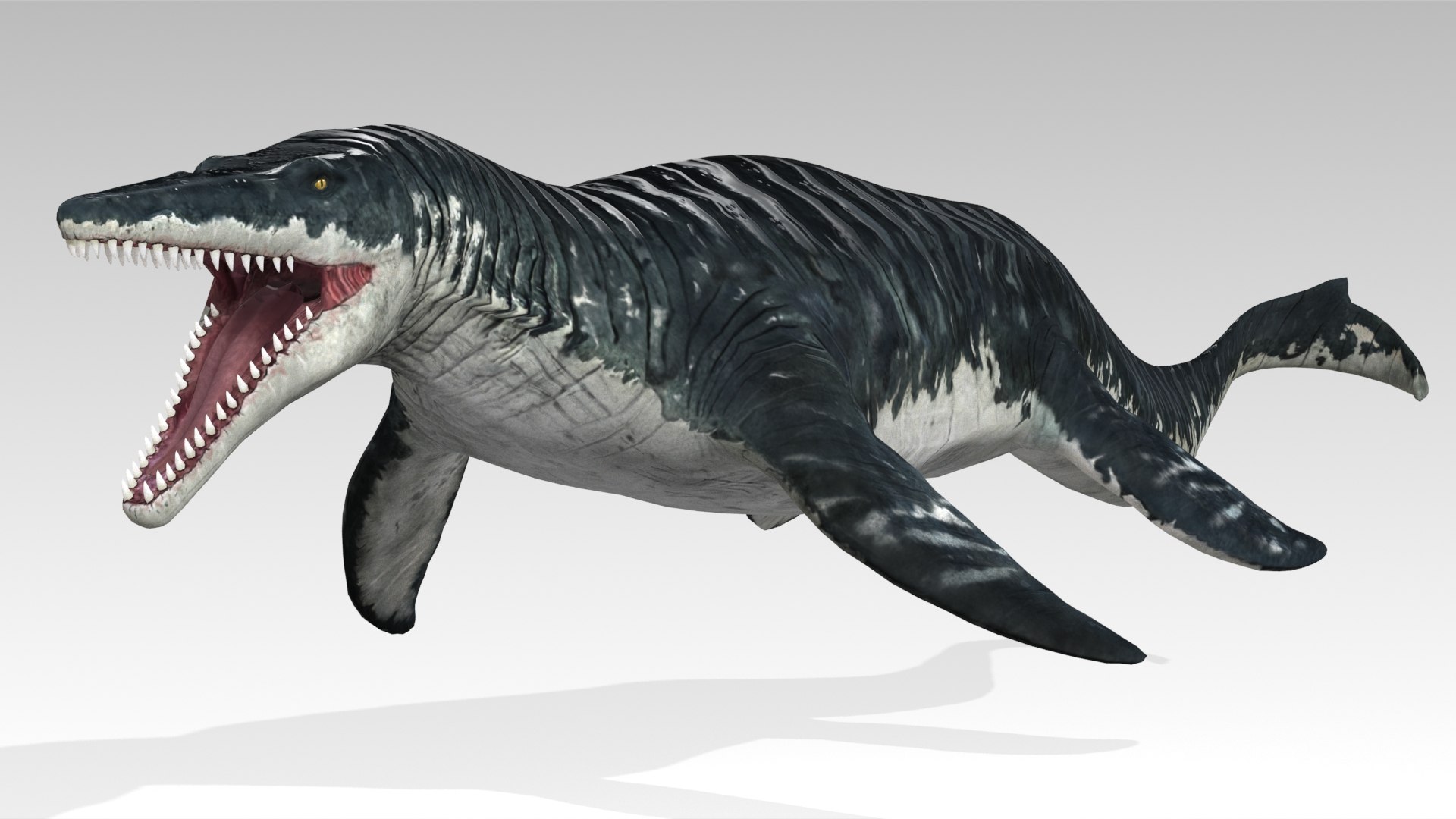 3D Mosasaurus Animated 3D Model - TurboSquid 2504299