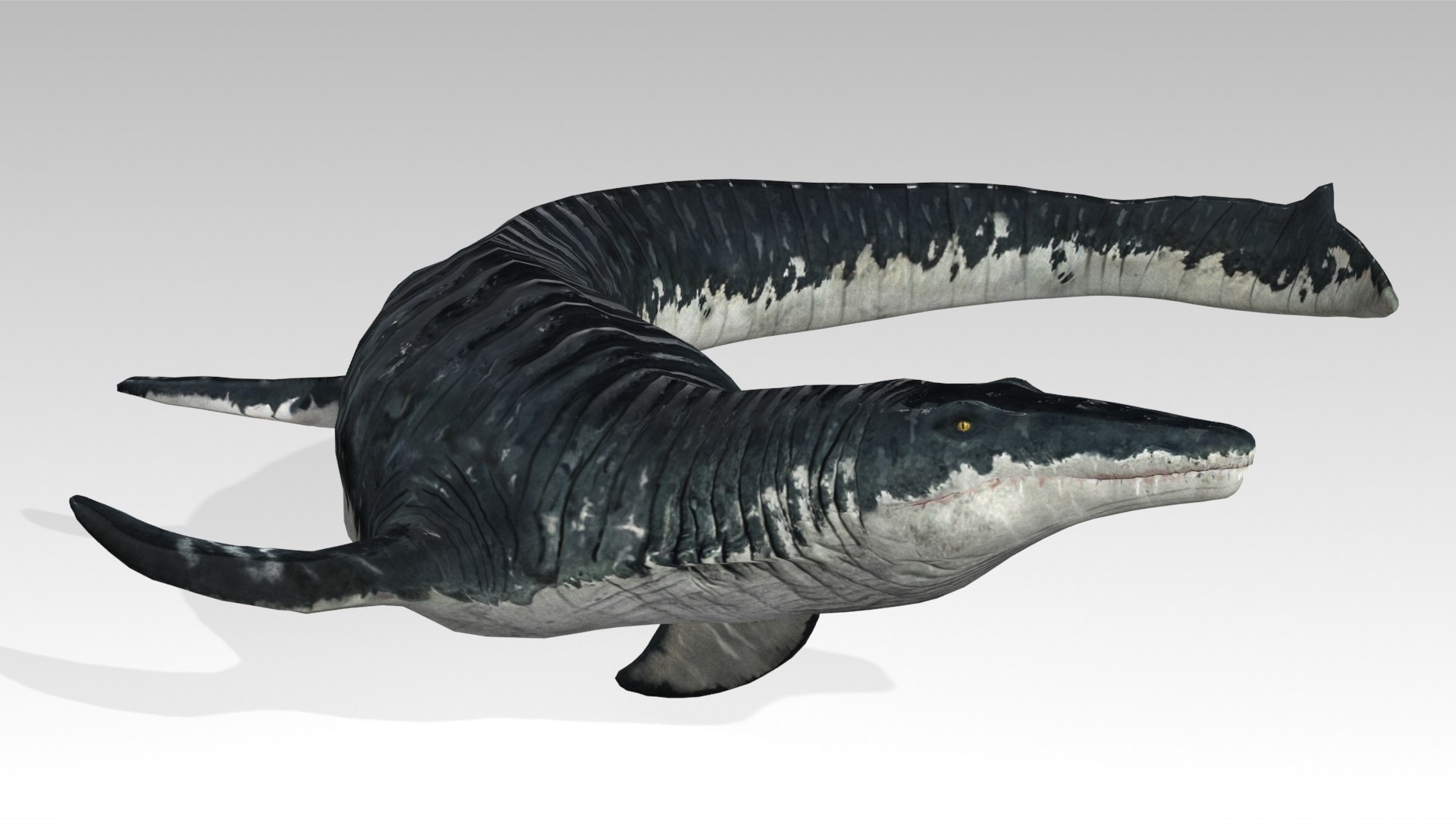3D Mosasaurus Animated 3D Model - TurboSquid 2504299