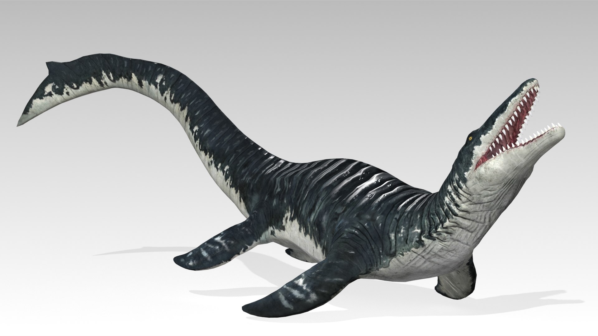 3D Mosasaurus Animated 3D Model - TurboSquid 2504299