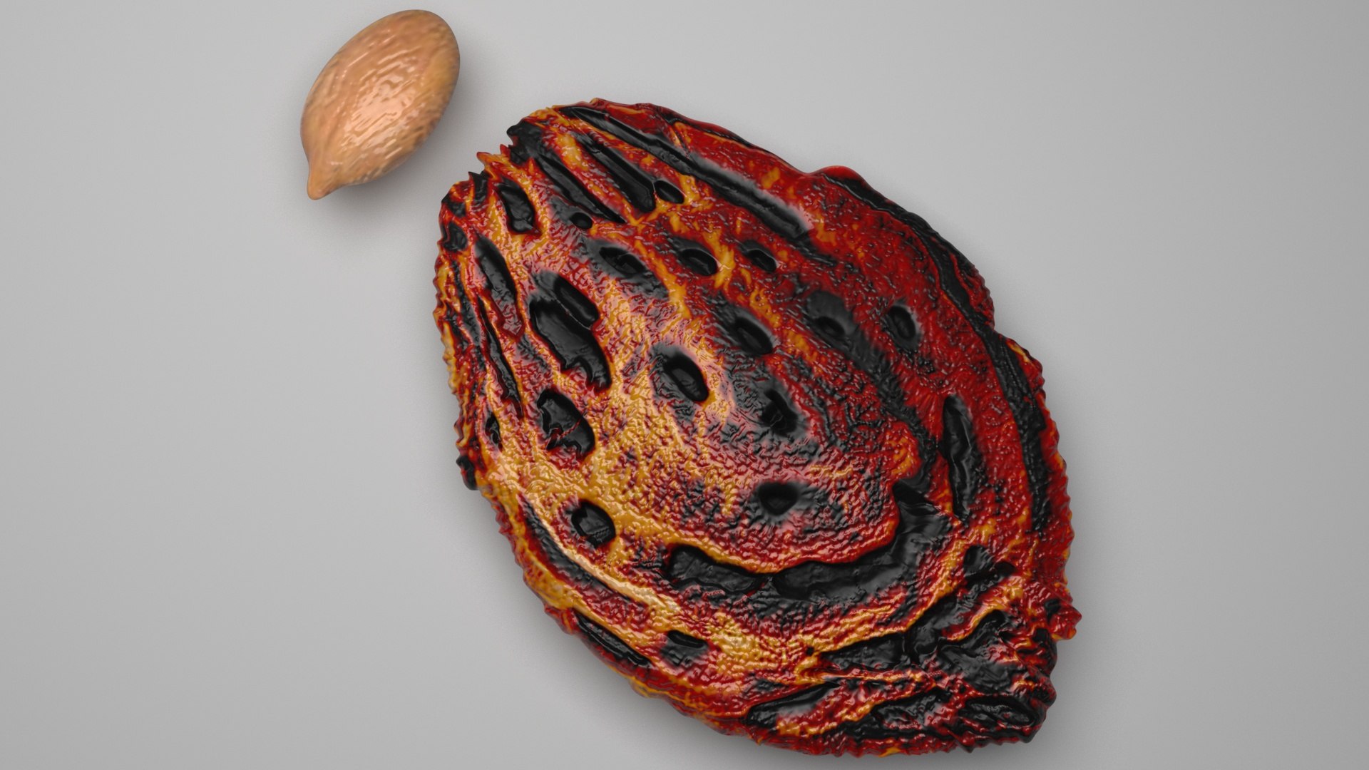 3D Peach Seed And Kernel - TurboSquid 1852686