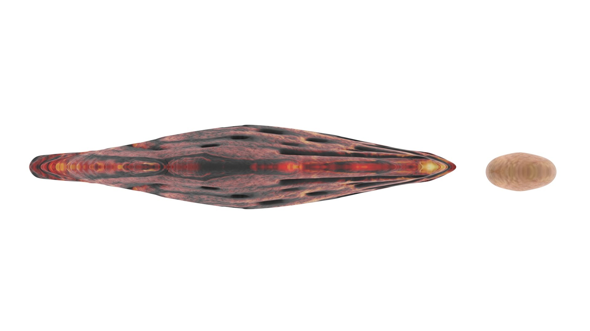 3D Peach Seed And Kernel - TurboSquid 1852686