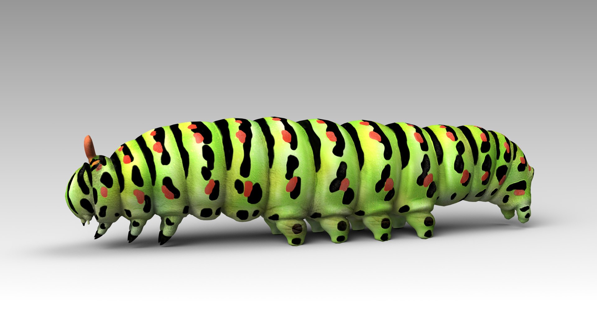 3d model caterpillar