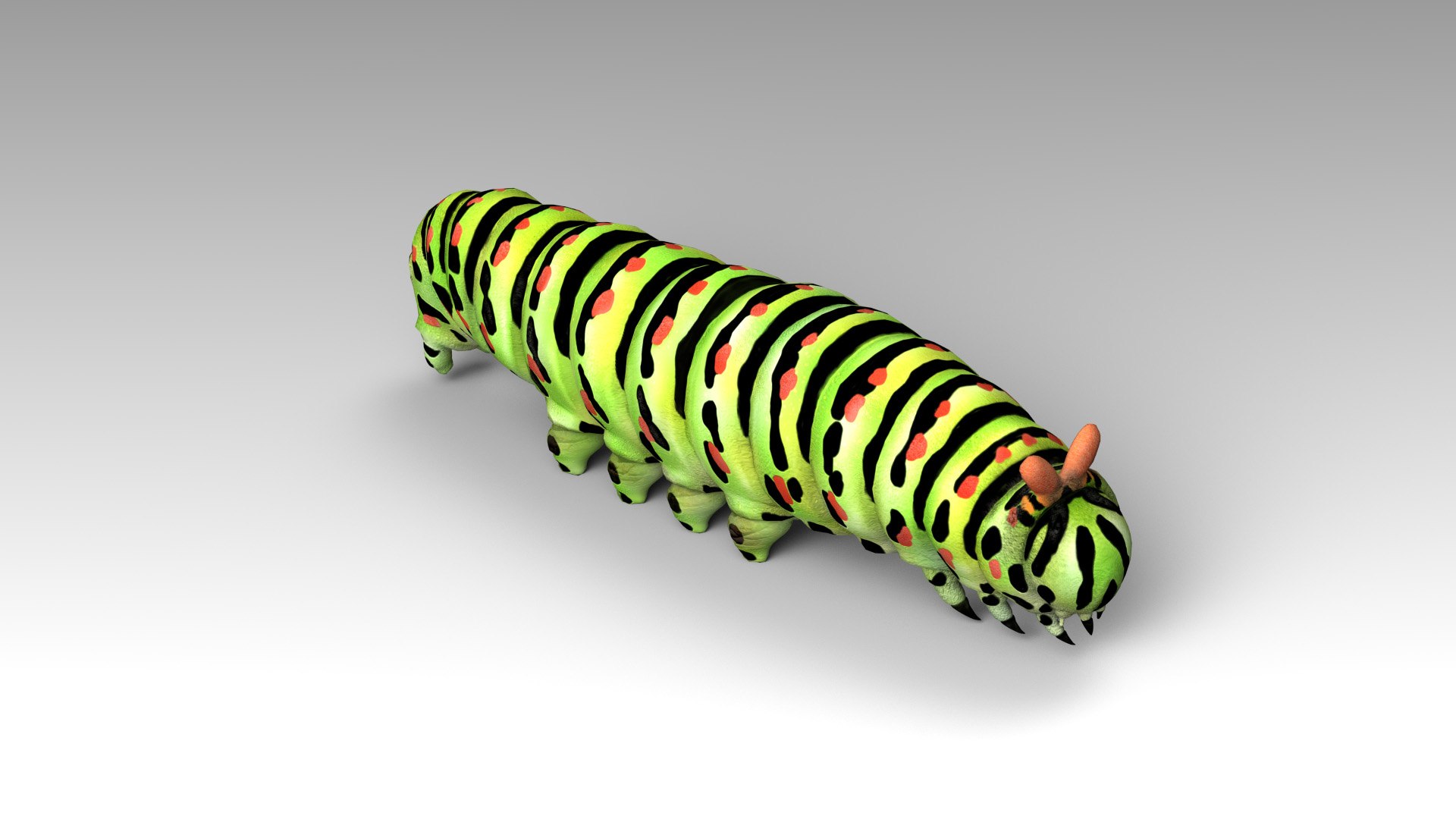 3d model caterpillar